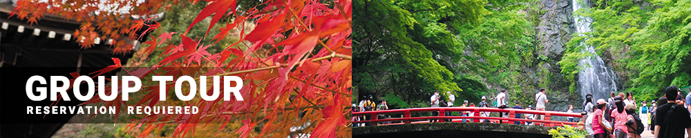 Nature Walk osaka. 5h tour. / ALL STAR OSAKA WALK